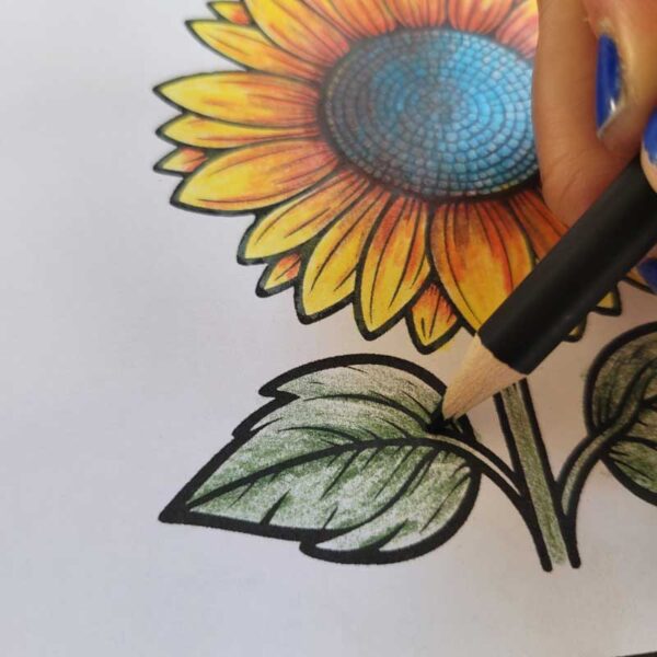 How To Color A Sunflower With Colored Pencils - DIY Coloring Artistry