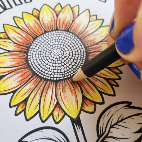 How To Color A Sunflower With Colored Pencils - DIY Coloring Artistry