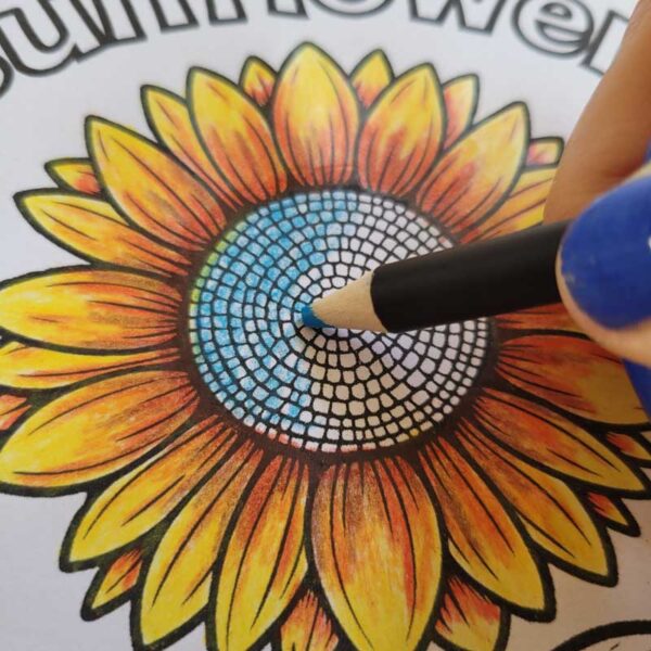 How To Color A Sunflower With Colored Pencils - DIY Coloring Artistry