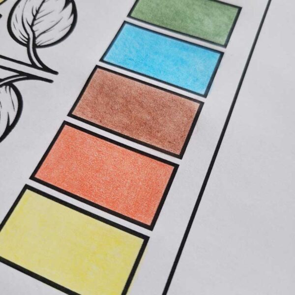 How To Color A Sunflower With Colored Pencils - DIY Coloring Artistry