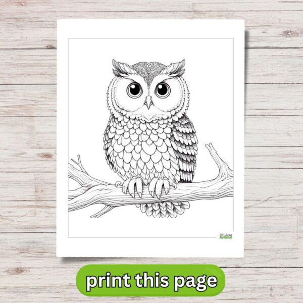 14 Free Farm Animals Coloring Pages - DIY Coloring Artistry