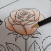 How To Color A Rose With Colored Pencils - DIY Coloring Artistry