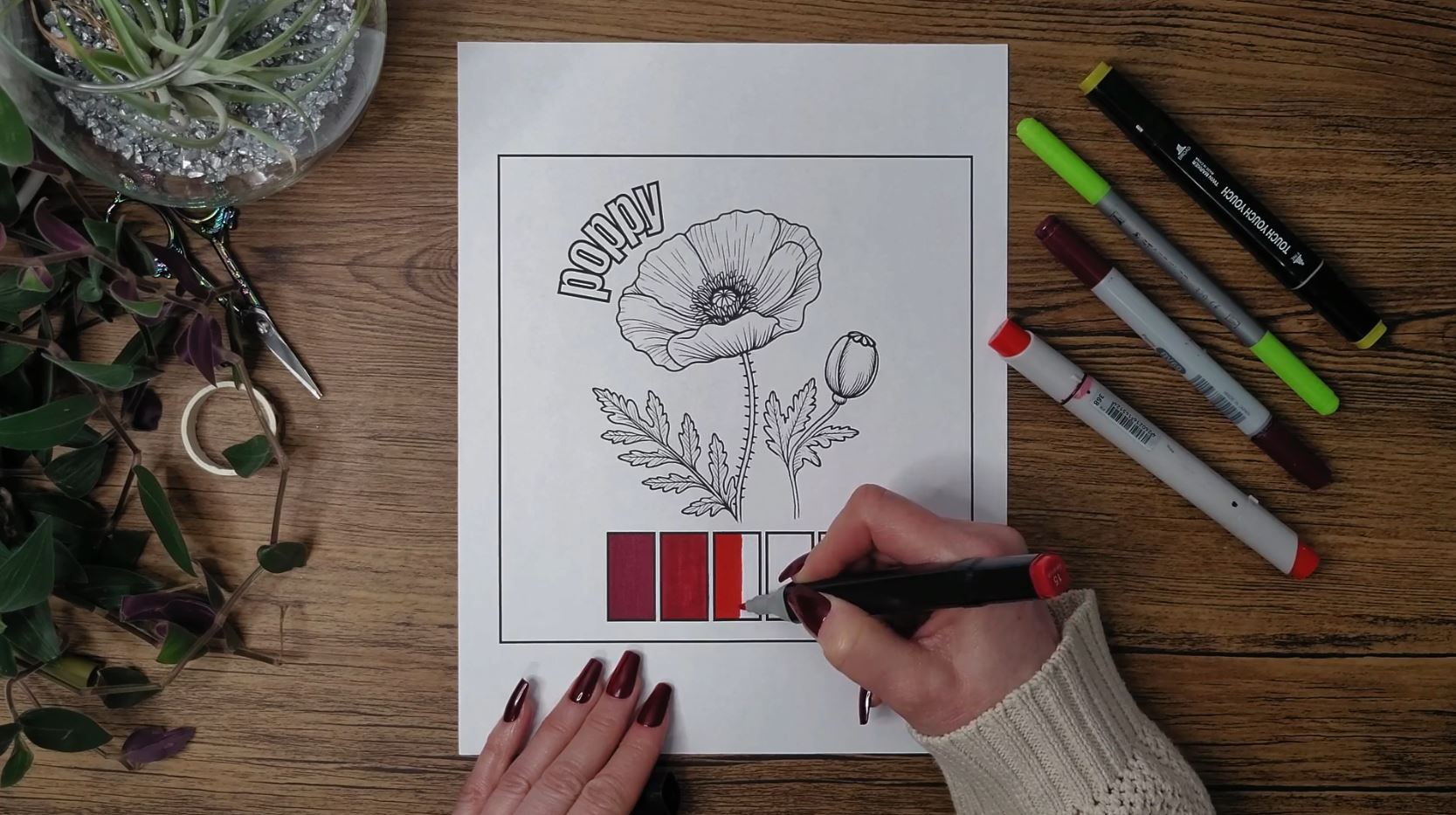 How To Color A Poppy With Alcohol Markers - DIY Coloring Artistry
