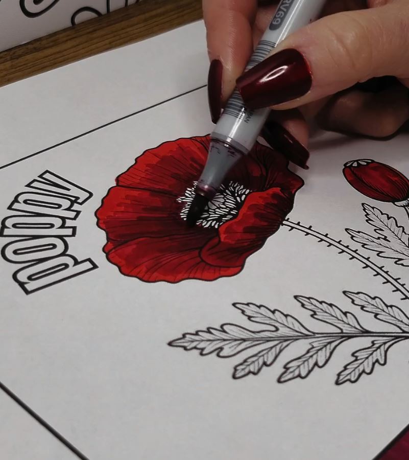 How To Color A Poppy With Alcohol Markers - DIY Coloring Artistry