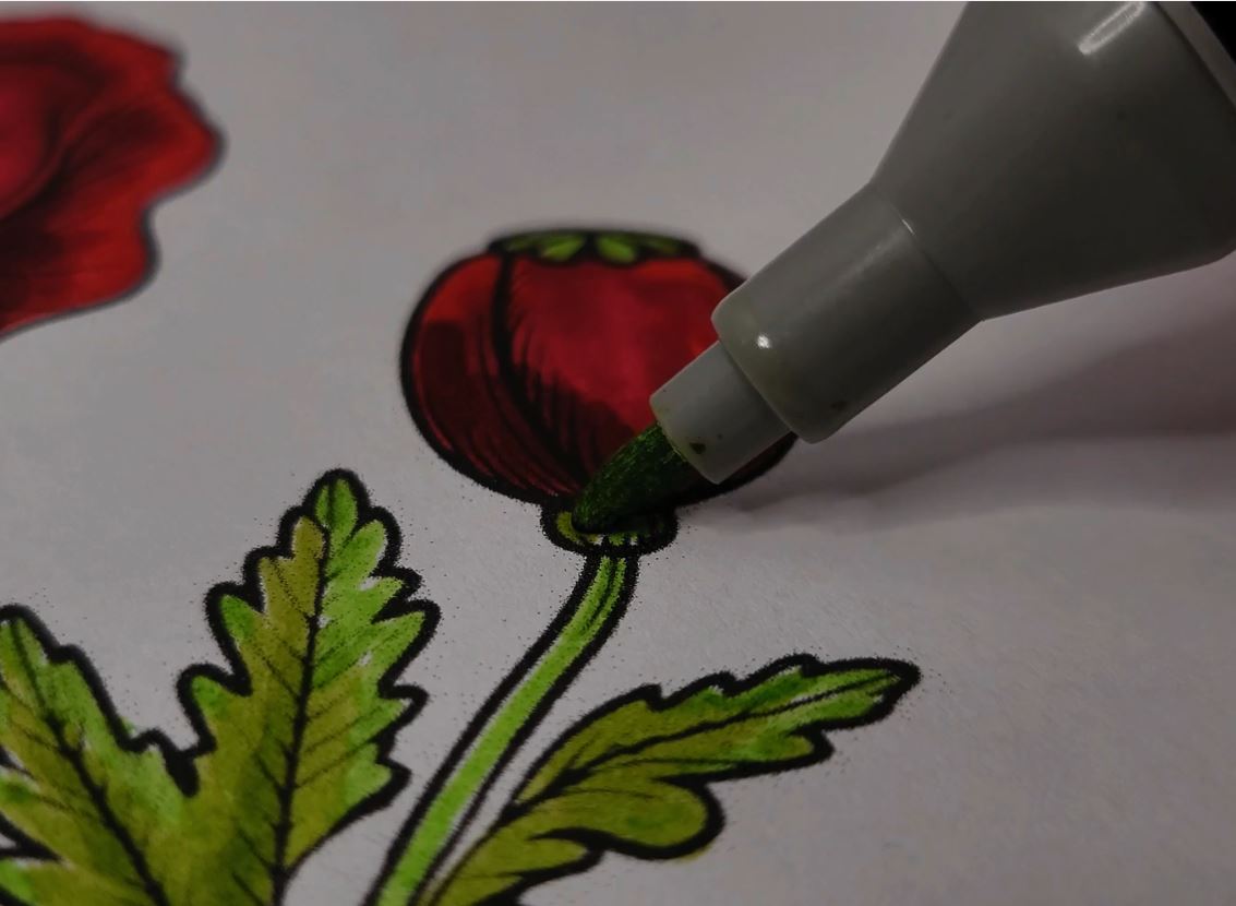 How To Color A Poppy With Alcohol Markers - DIY Coloring Artistry