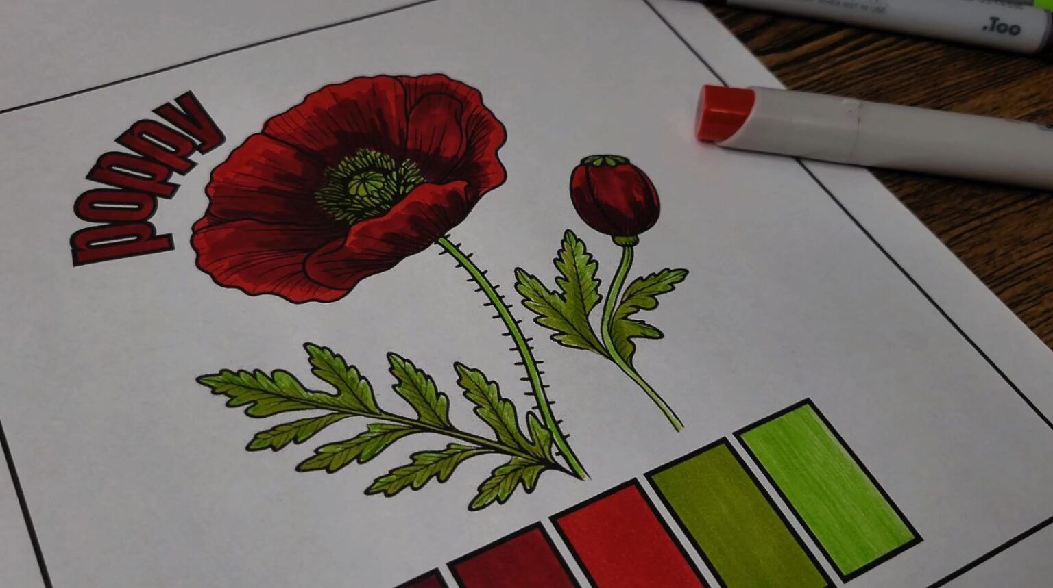 How To Color A Rose With Colored Pencils - DIY Coloring Artistry