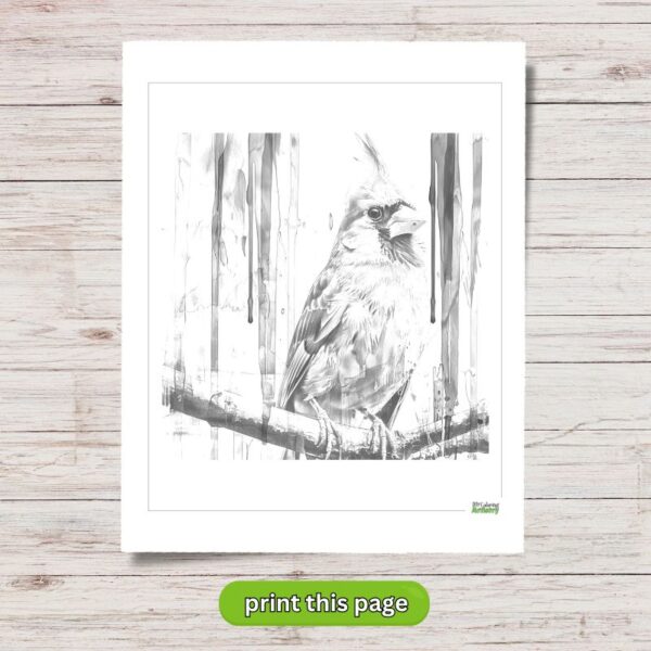 11 Free Red Cardinal Coloring Pages - DIY Coloring Artistry