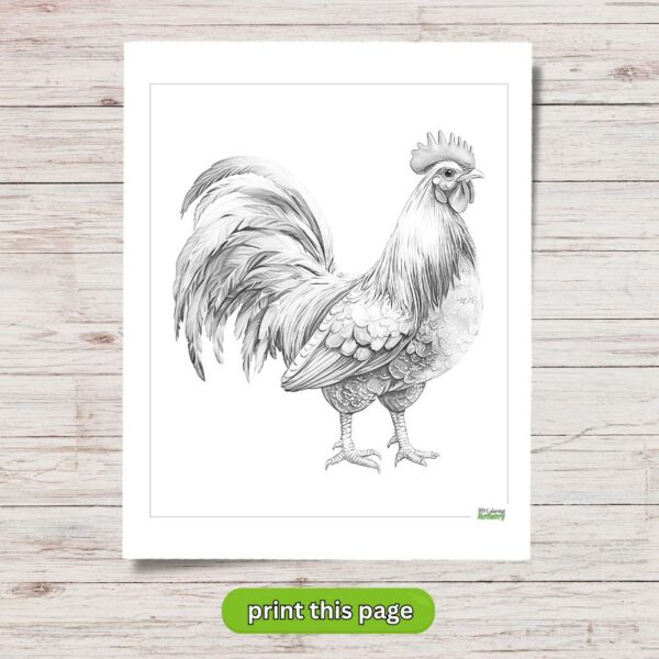 10 Free Rooster Coloring Pages To Print - DIY Coloring Artistry